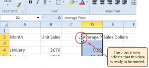 1.2 Entering, Editing, and Managing Data – Excel For Decision Making