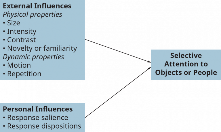 15.1 – The Perceptual Process – Introduction to Management and ...