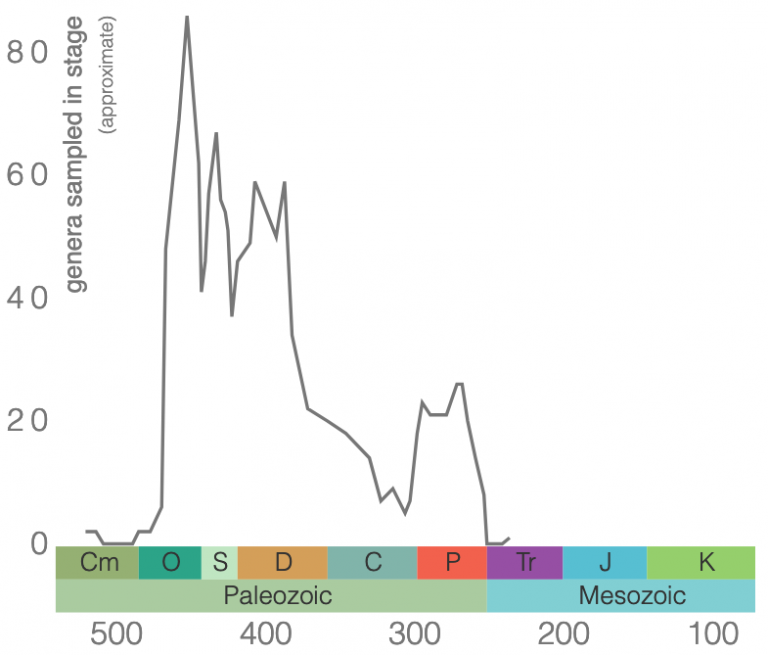 Chapter 7 Fossils The Story Of Earth An Observational Guide